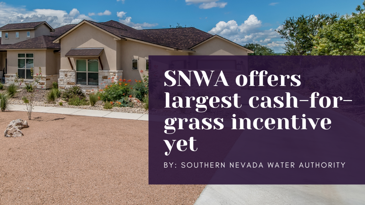 SNWA offers largest cash-for-grass incentive yet | Lantana Real Estate